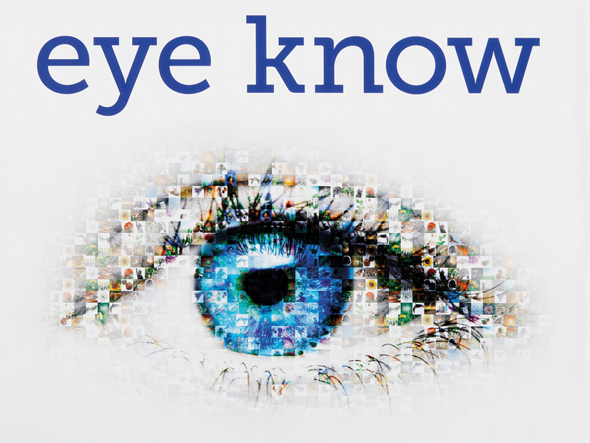 Eye Know, Spiel, Anleitung und Bewertung auf Alle Brettspiele bei ...